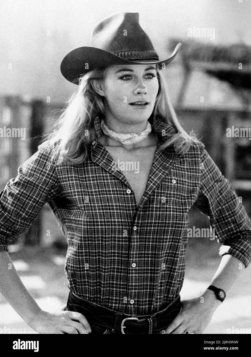 Cybill shepherd 80s Black and White Stock Photos & Images - Alamy