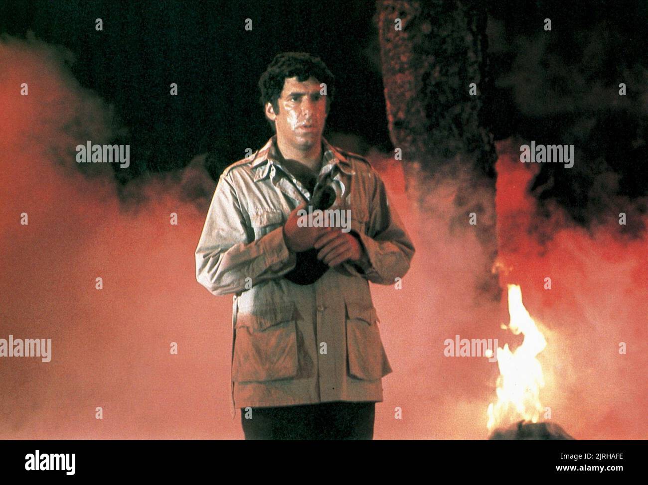ELLIOTT GOULD, THE DEVIL AND MAX DEVLIN, 1981 Stock Photo - Alamy