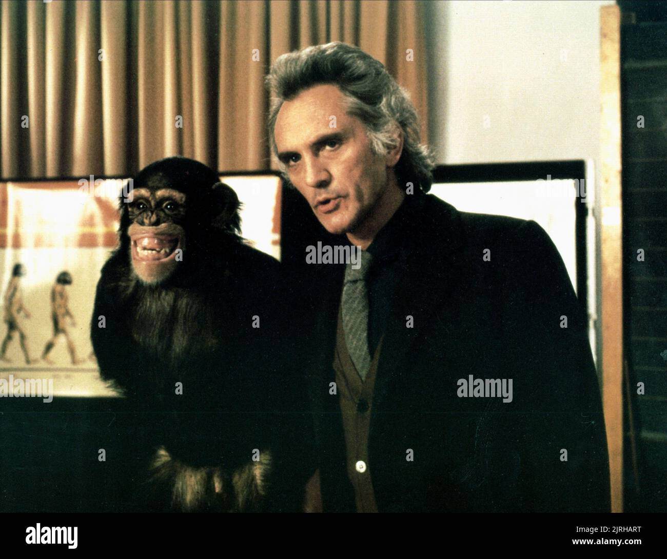 TERENCE STAMP, CHIMP, LINK, 1986 Stock Photo - Alamy