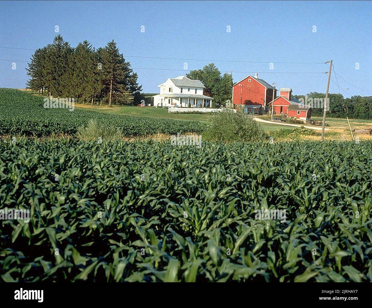 IOWA CORN FARM, FIELD OF DREAMS, 1989 Stock Photo - Alamy