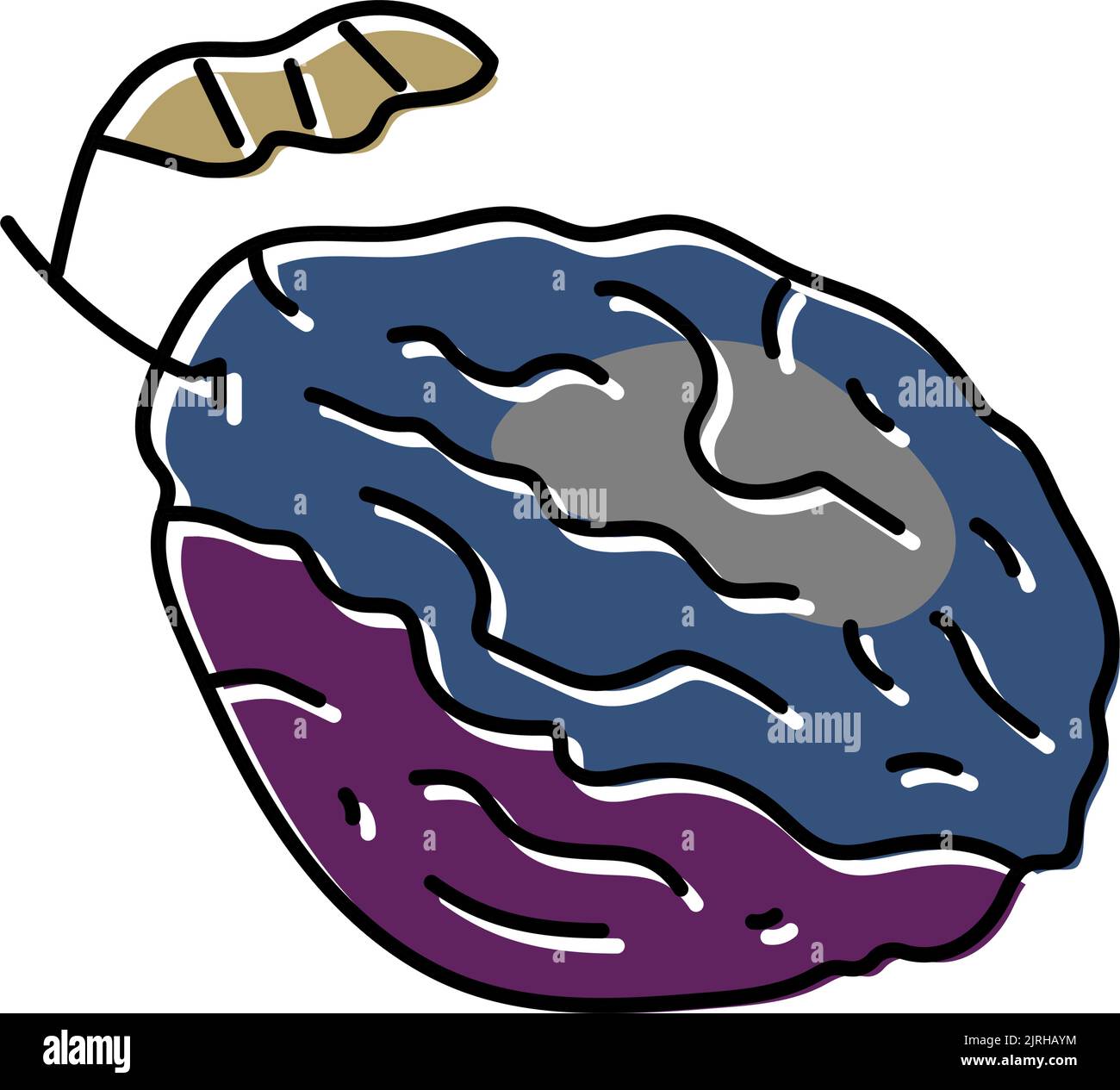 prune plum dry color icon vector illustration Stock Vector Image & Art ... prune plum dry color icon vector illustration Stock Vector Image & Art ...