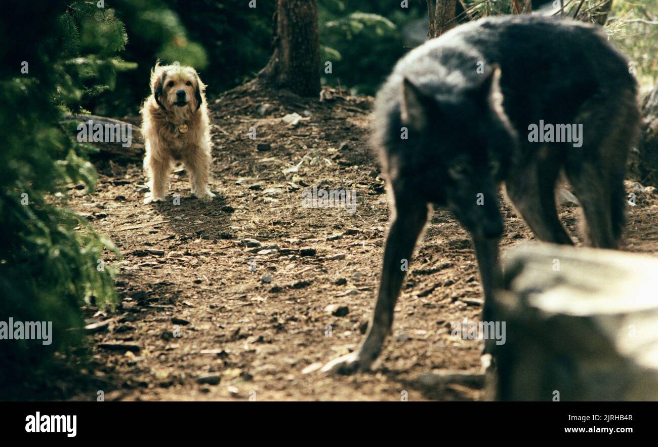 Benji The Hunted Vhs