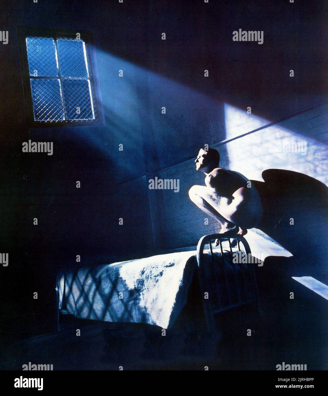 MATTHEW MODINE, BIRDY, 1984 Stock Photo - Alamy