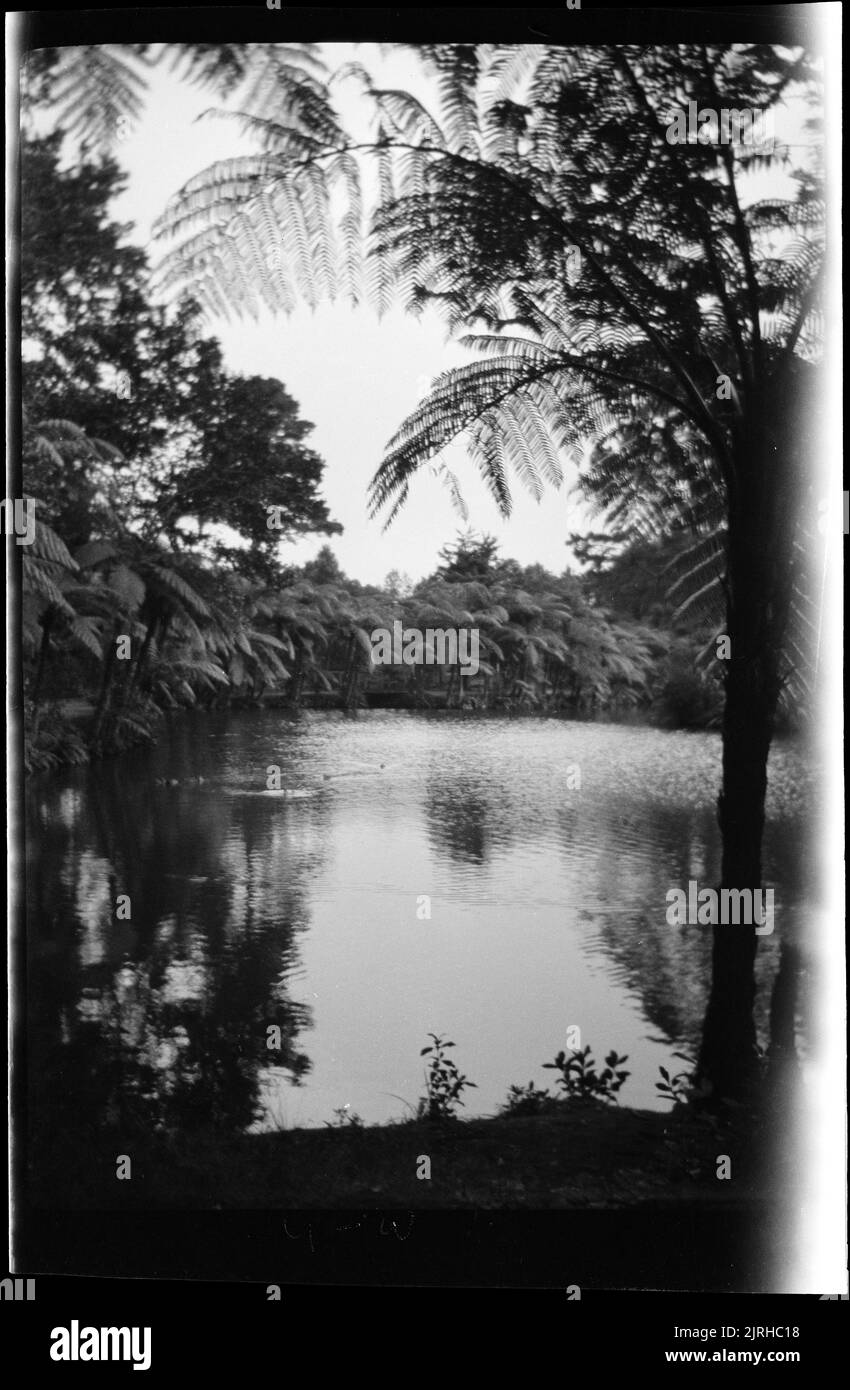 [North Island lake], 1920s-1930s, North Island, by Roland Searle Stock ...