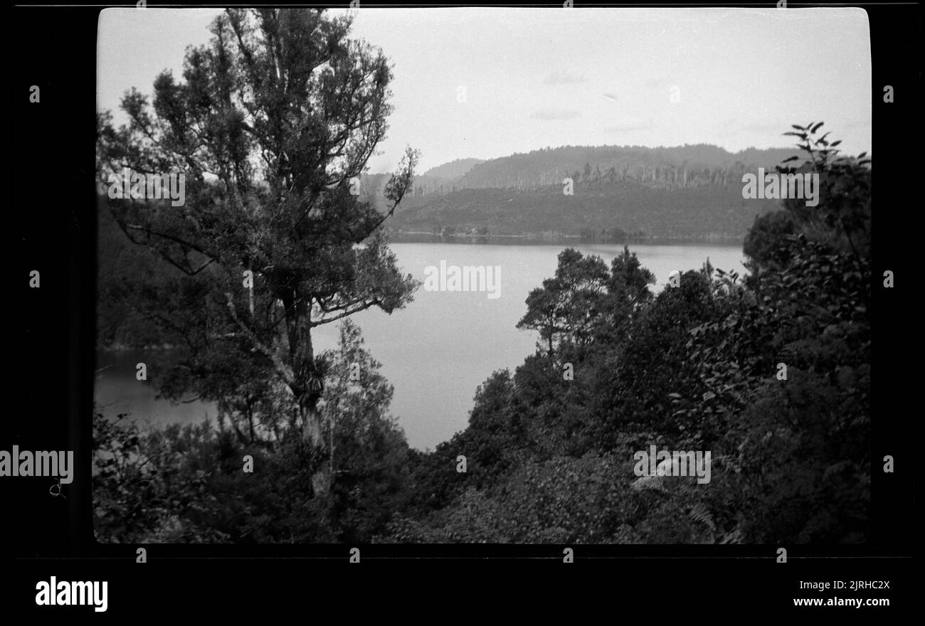 [North Island lake], 1920s-1930s, North Island, by Roland Searle Stock ...