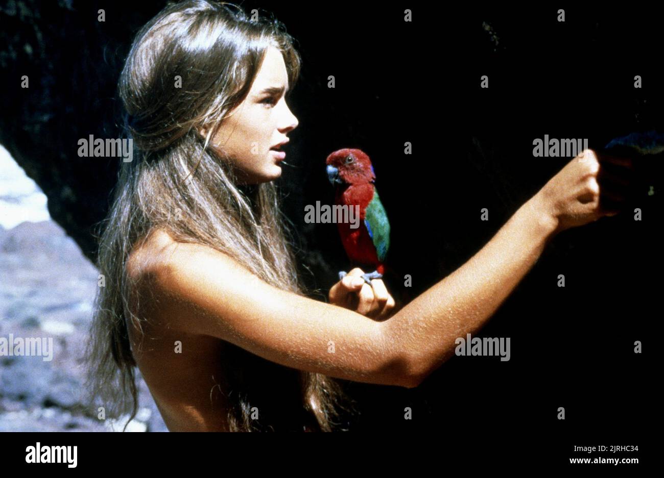 BROOKE SHIELDS, PARROT, THE BLUE LAGOON, 1980 Stock Photo - Alamy
