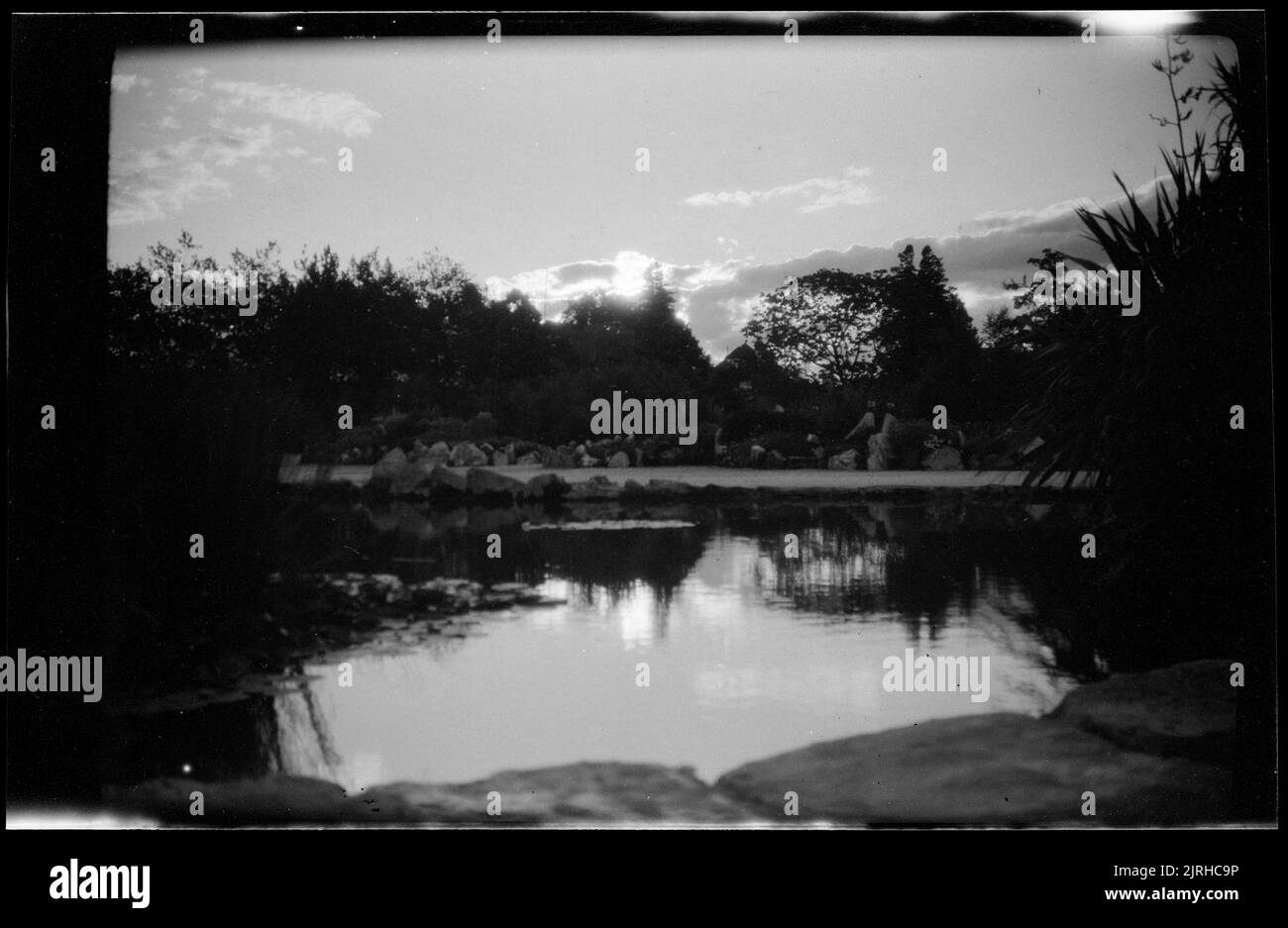 [North Island lake], 1920s-1930s, North Island, by Roland Searle Stock ...