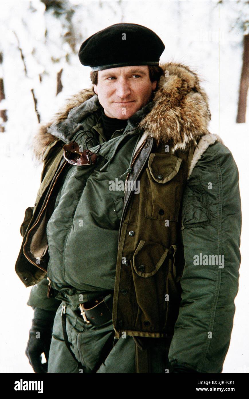 ROBIN WILLIAMS, THE SURVIVORS, 1983 Stock Photo - Alamy