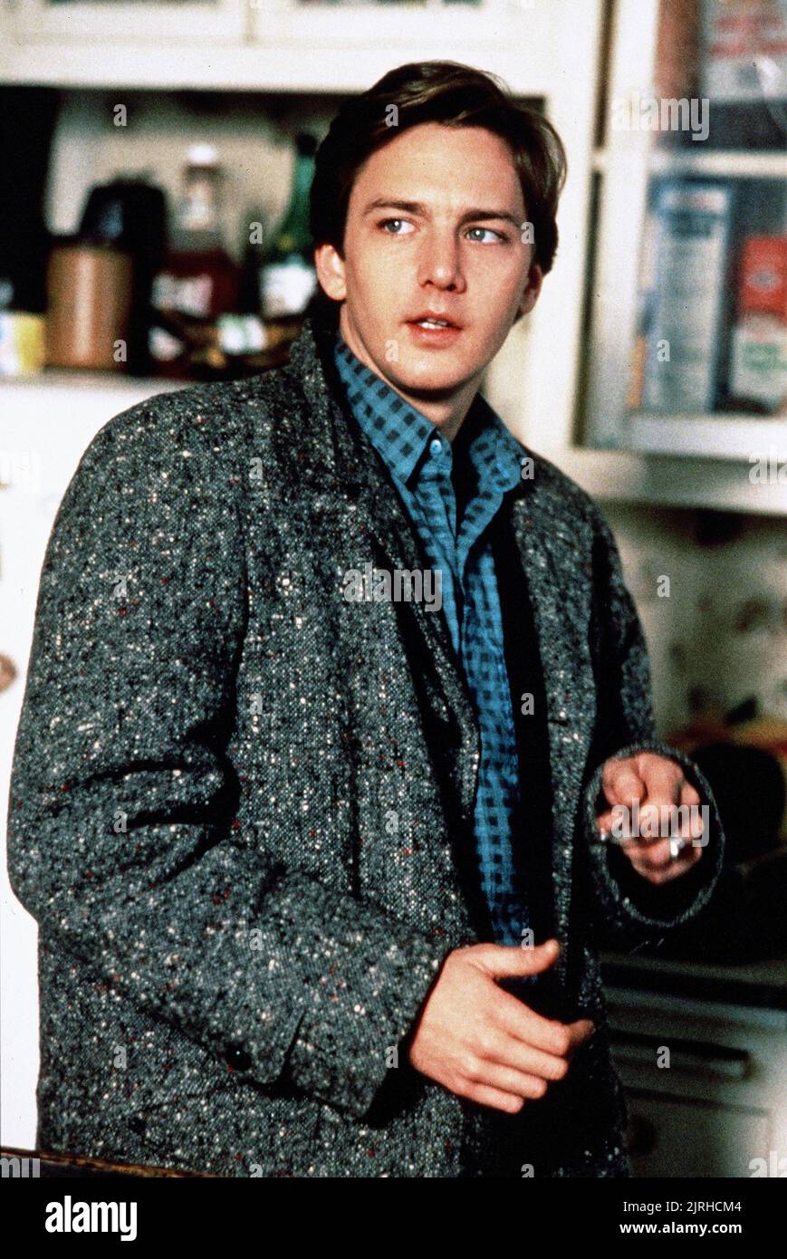 Andrew mccarthy fresh horses hi-res stock photography and images - Alamy