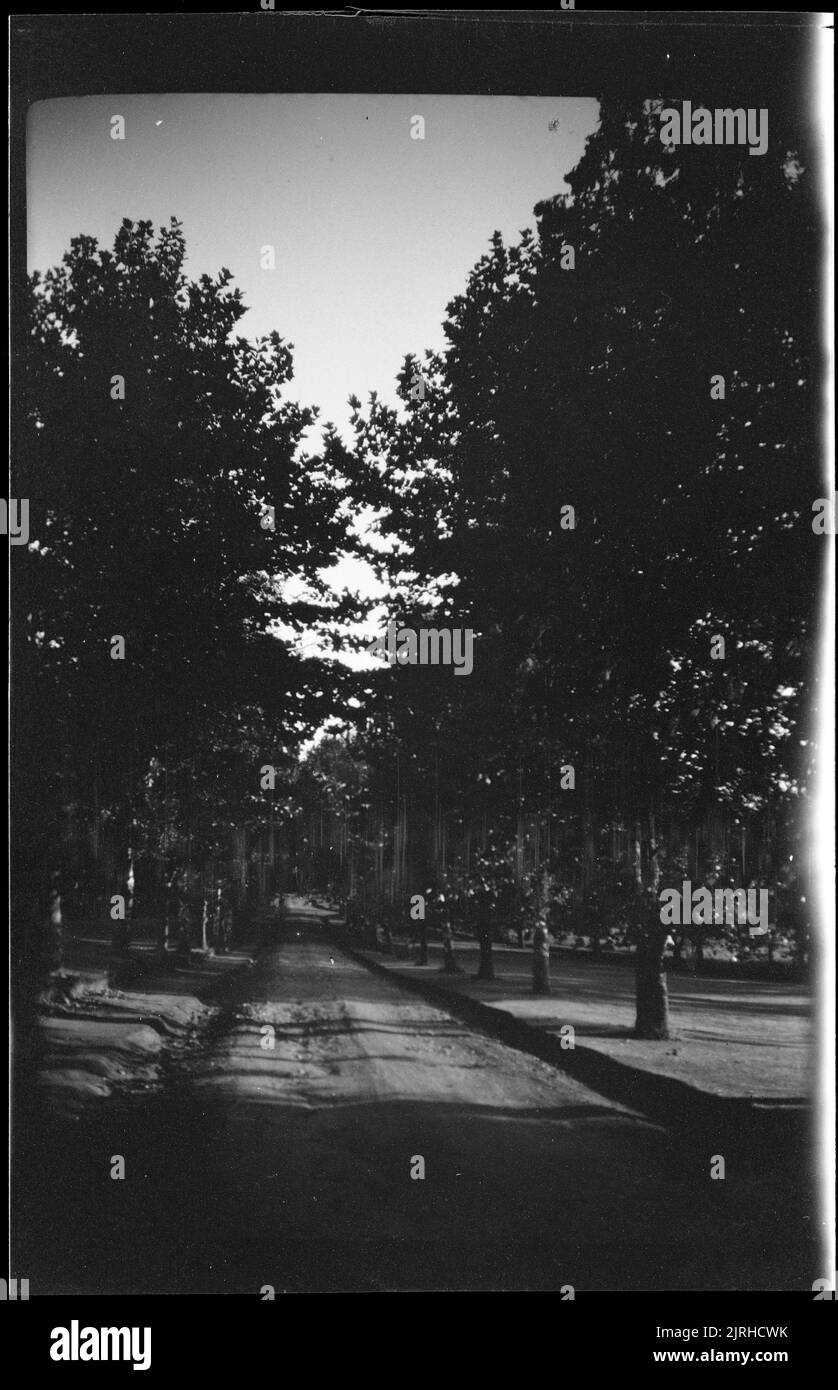 North island road north island road Black and White Stock Photos ...