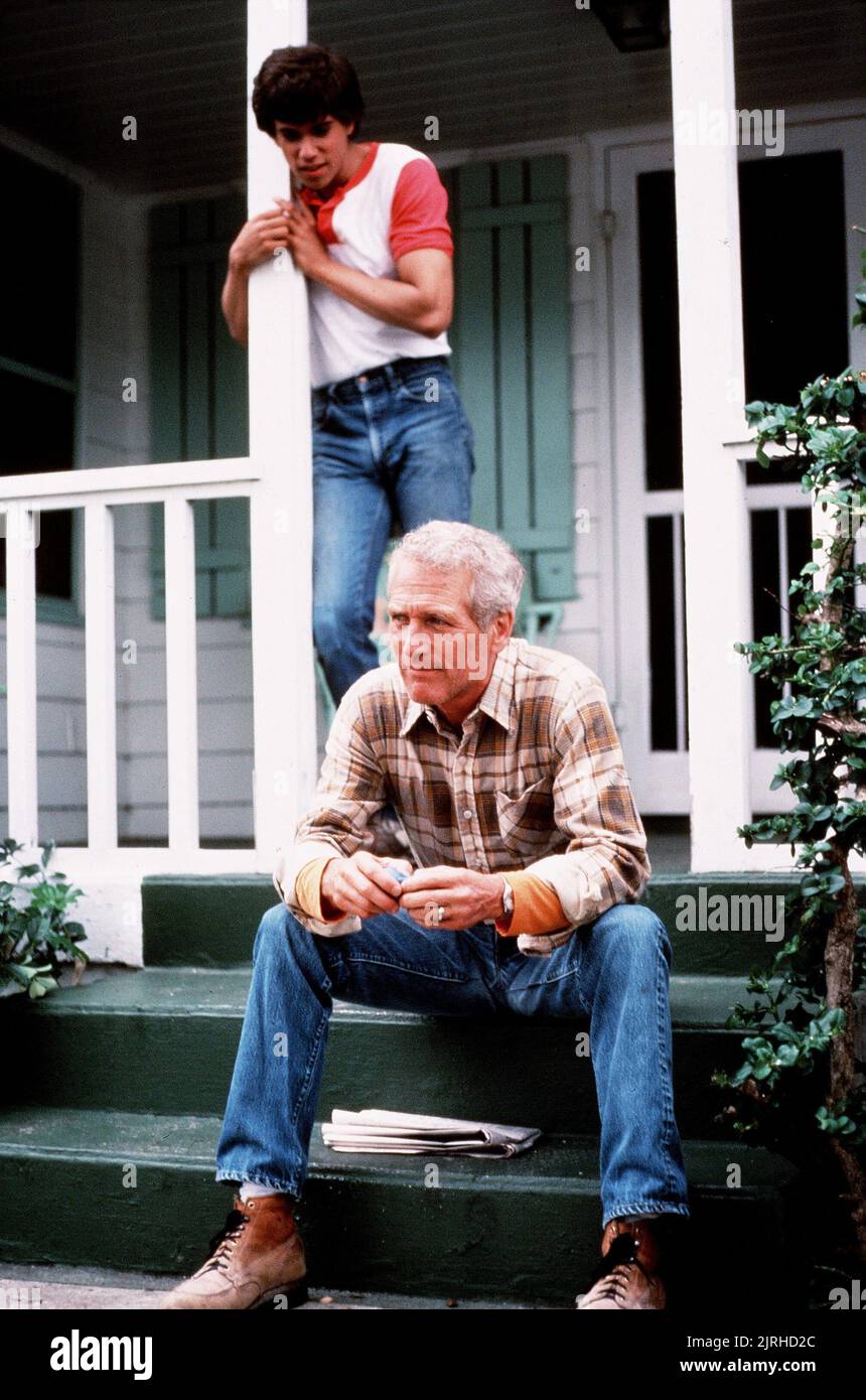 Robby Benson Son HARRY & SON Lobby Card (10x12 In. 1984 France)