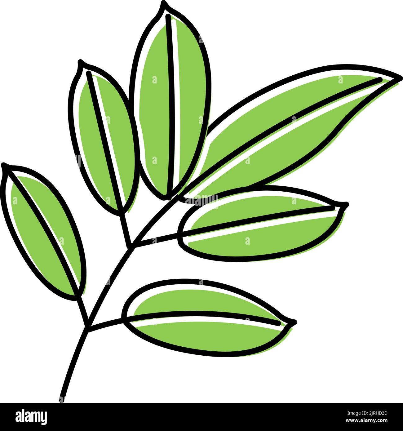 mahogany leaf color icon vector illustration Stock Vector Image & Art ...