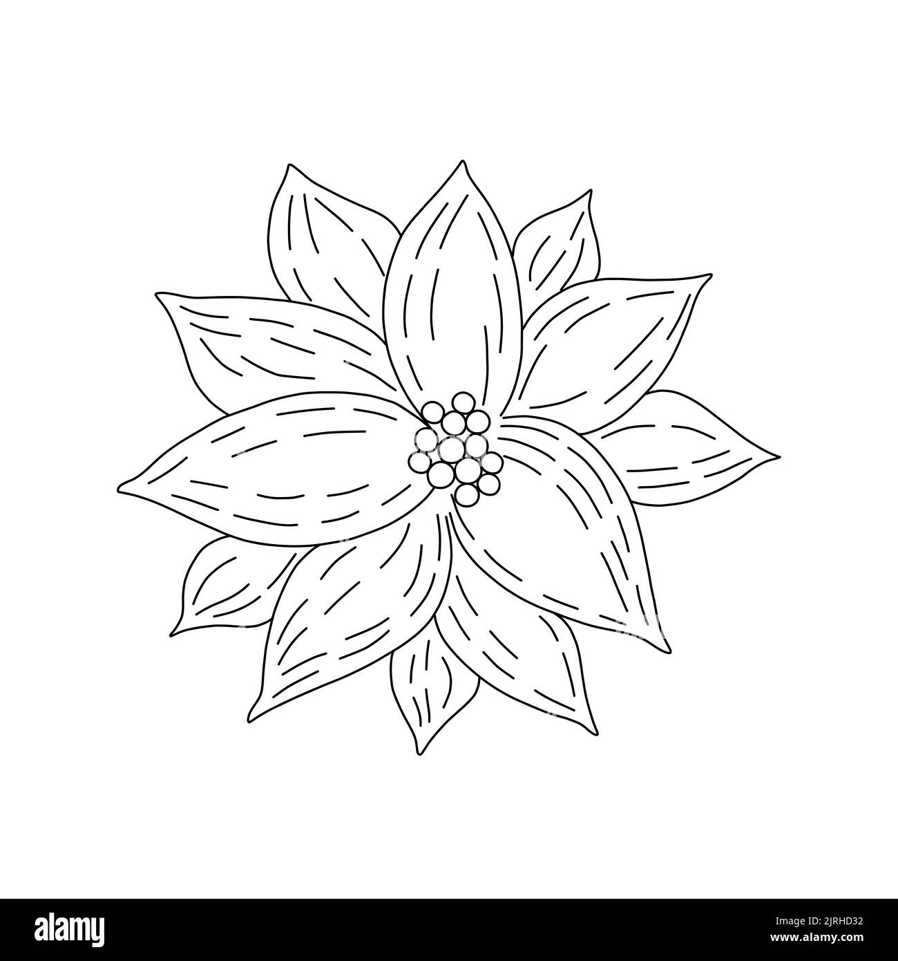 Poinsettia Outline Clipart