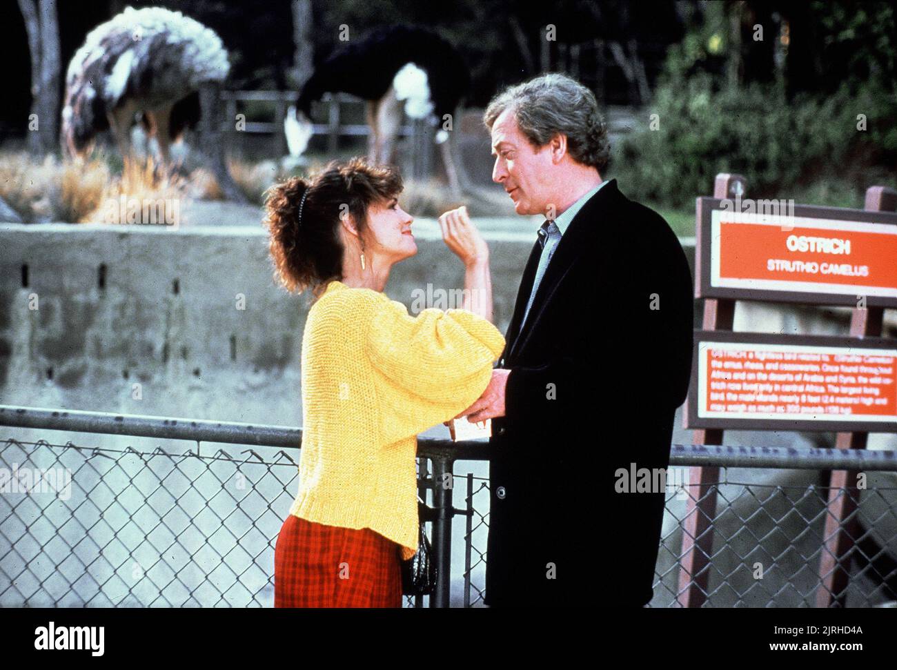 SALLY FIELD, MICHAEL CAINE, SURRENDER, 1987 Stock Photo - Alamy