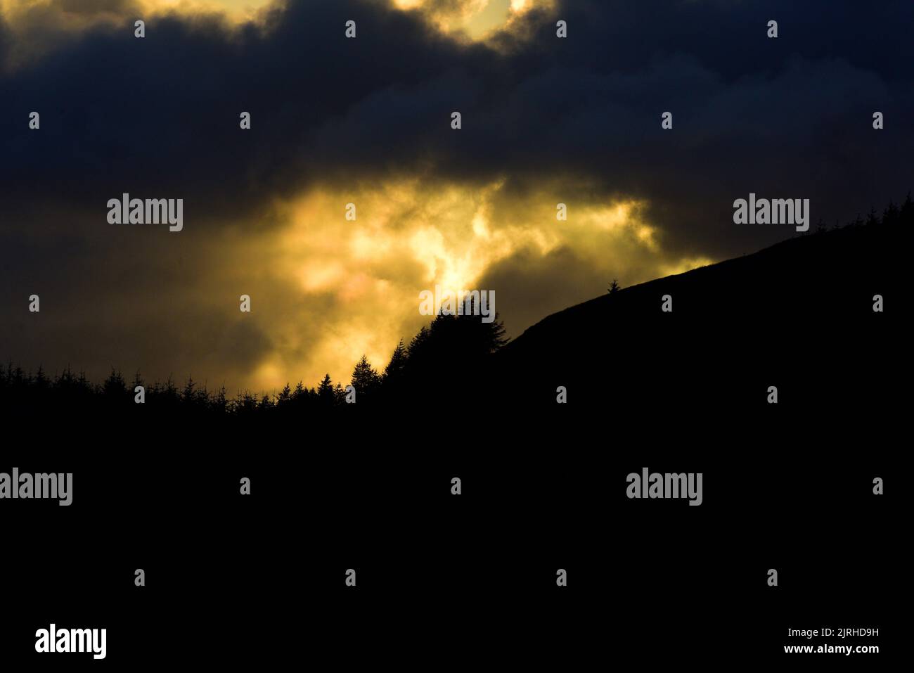 Commercial glow hi-res stock photography and images - Alamy