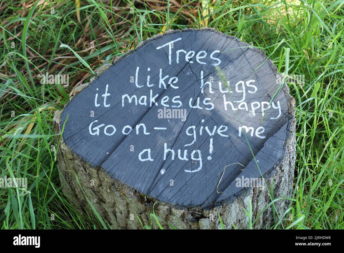 Poetry written on the cut edge of an old log Stock Photo - Alamy