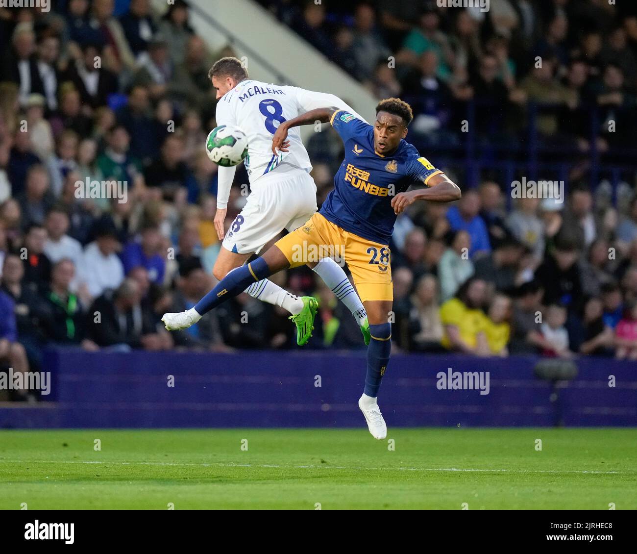 Reece mcalear hi-res stock photography and images - Alamy