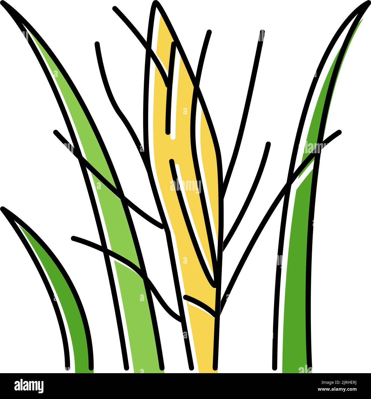 flower coconut coco color icon vector illustration Stock Vector Image ...