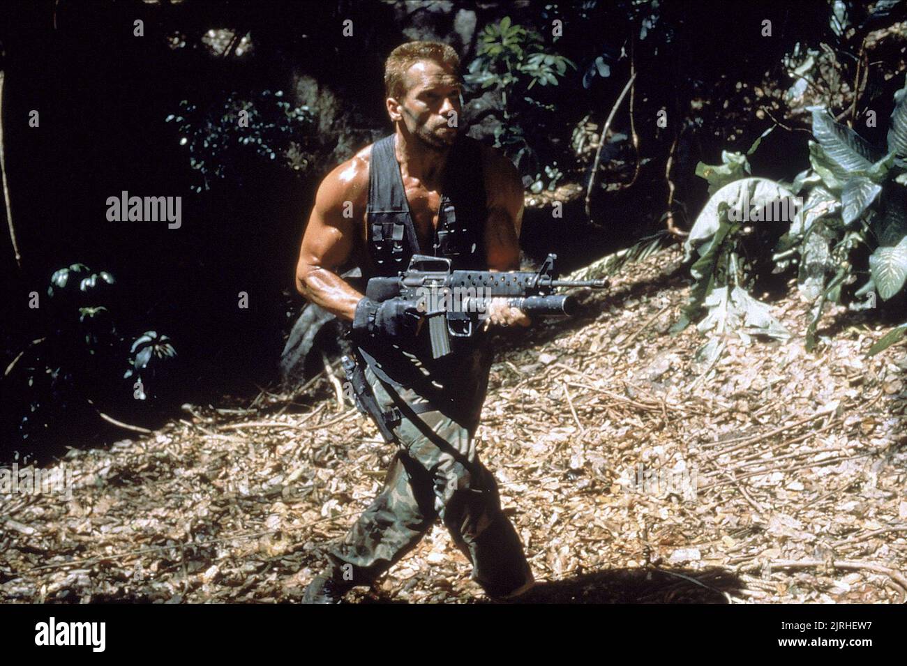 Predator 1987 movie hi-res stock photography and images - Alamy