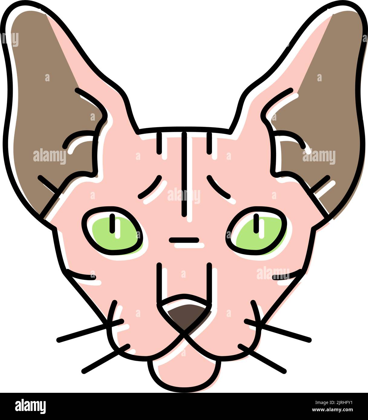 sphynx cat cute pet color icon vector illustration Stock Vector Image ...