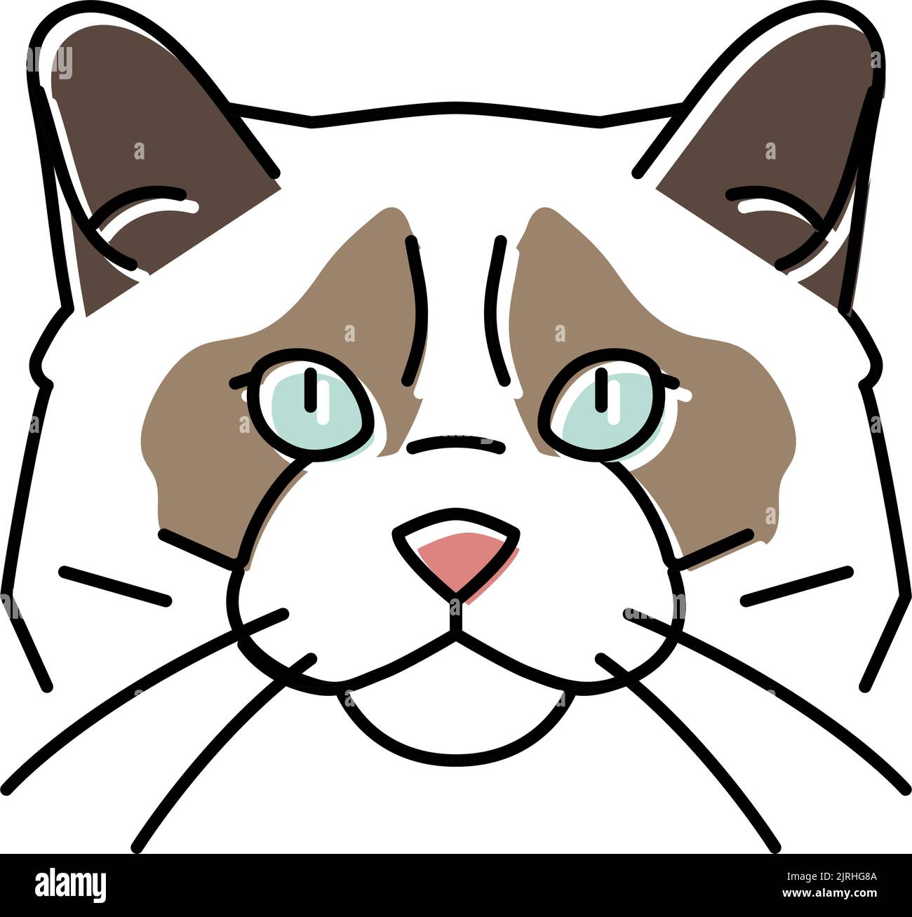 Ragdoll cat small cute Cut Out Stock Images & Pictures - Alamy