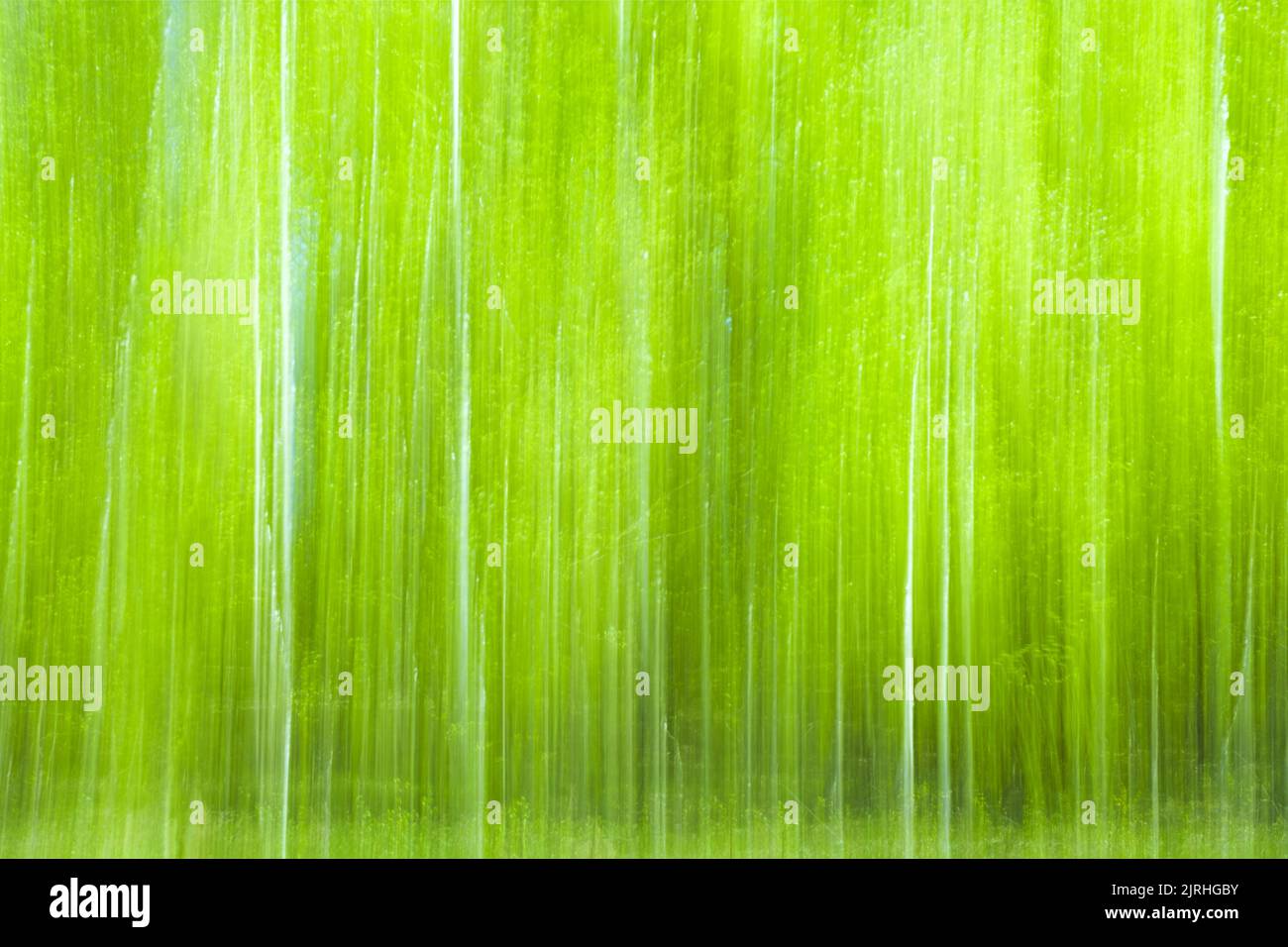 Abstract motion blur spring summer green forest sunny texture ...