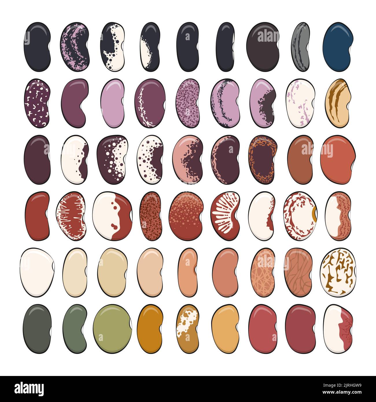 Set of color illustrations with green beans, kidney beans. Isolated ...