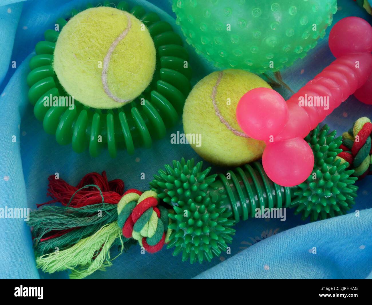 Dog water ball jack russell hi-res stock photography and images - Alamy
