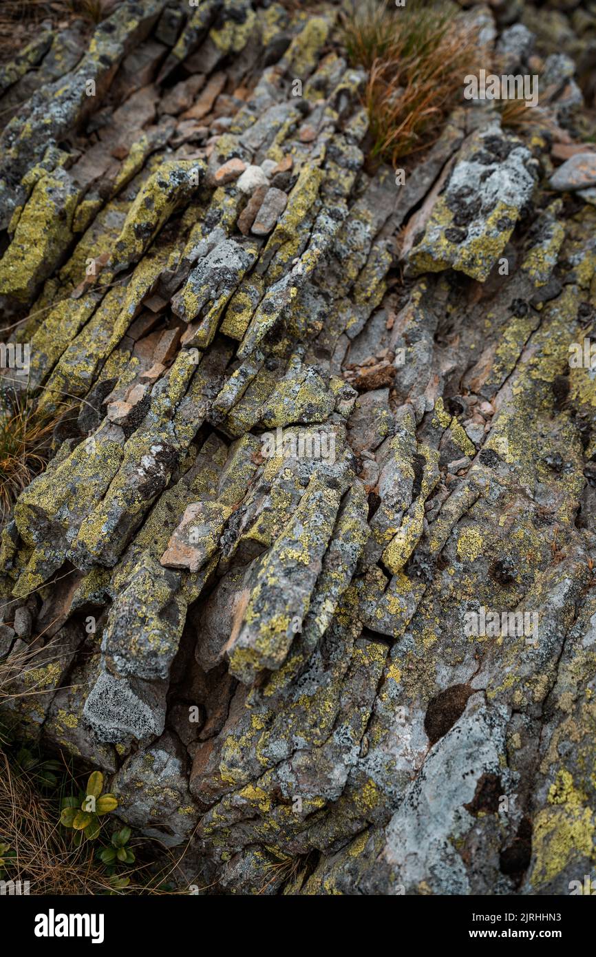 A vertical closeup of an interesting rock formation with cracks Stock ...