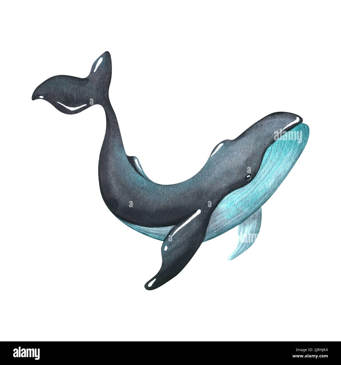 A Big Blue And Black Whale Watercolor Illustration An Isolated Object
