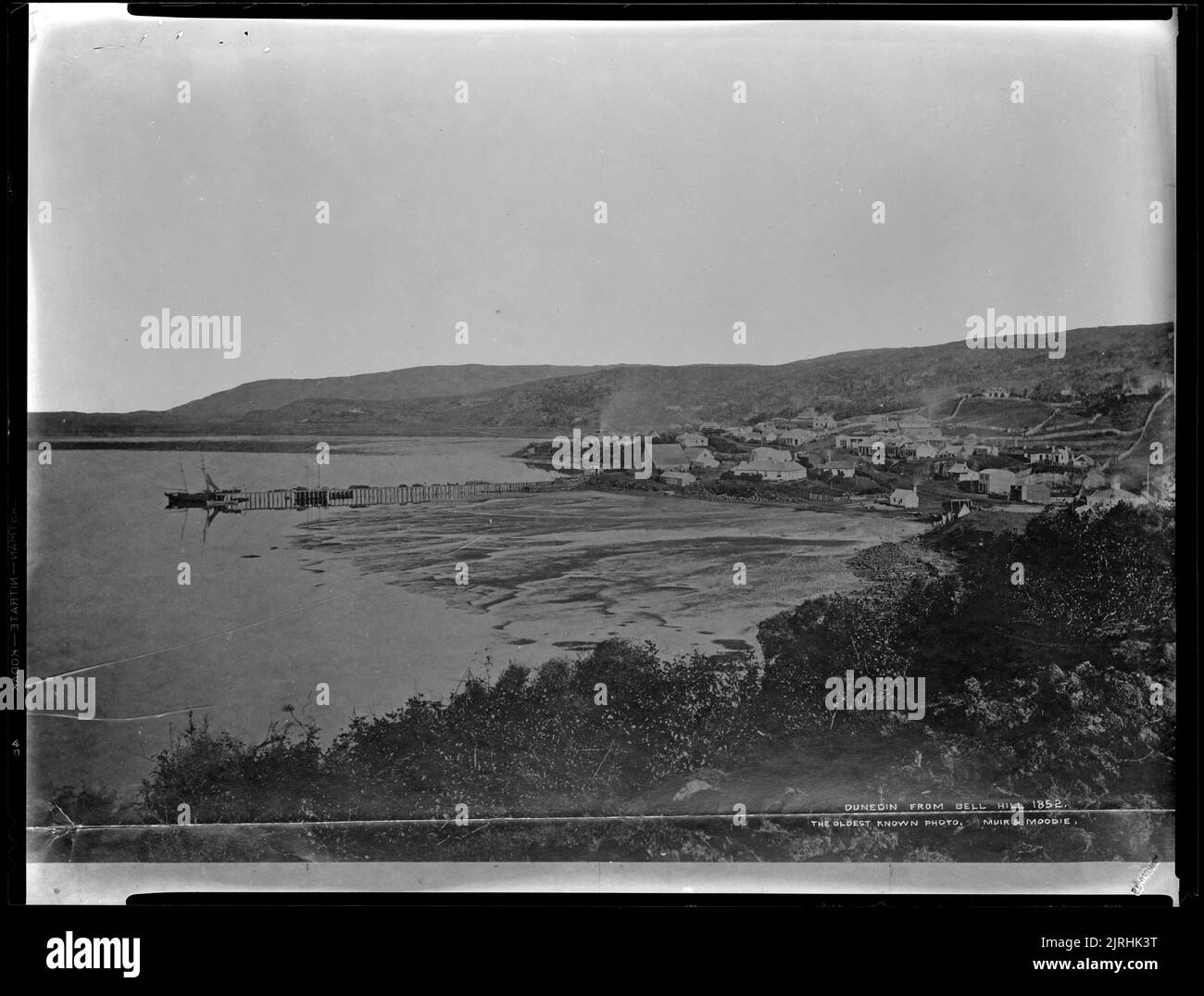 Dunedin from bell hill hi-res stock photography and images - Alamy