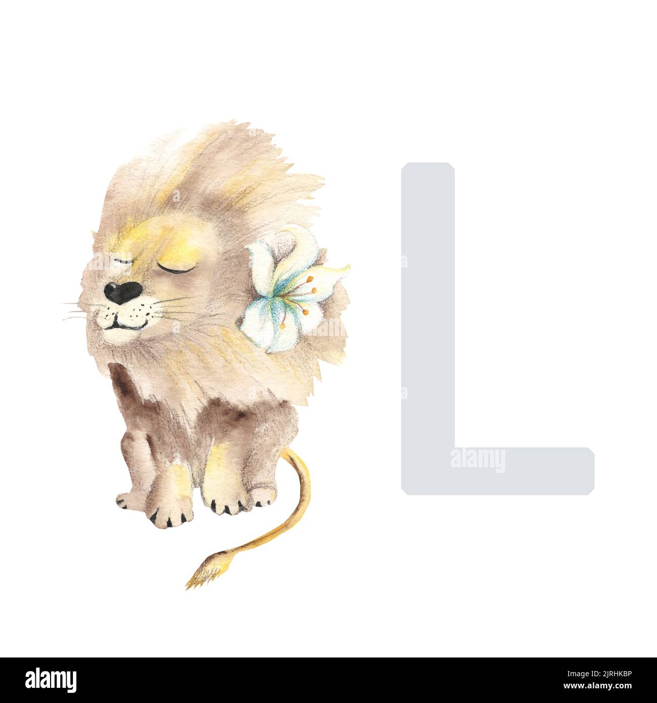 Letter L, lion, cute kids animal ABC alphabet. Watercolor illustration ...