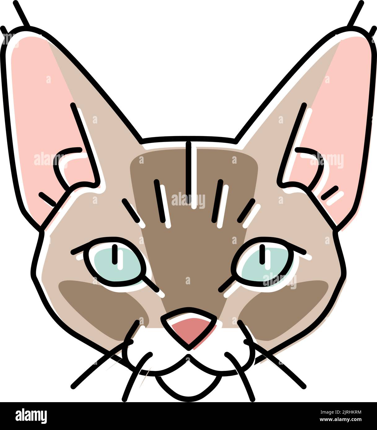 Adorable devon rex cat Cut Out Stock Images & Pictures - Alamy