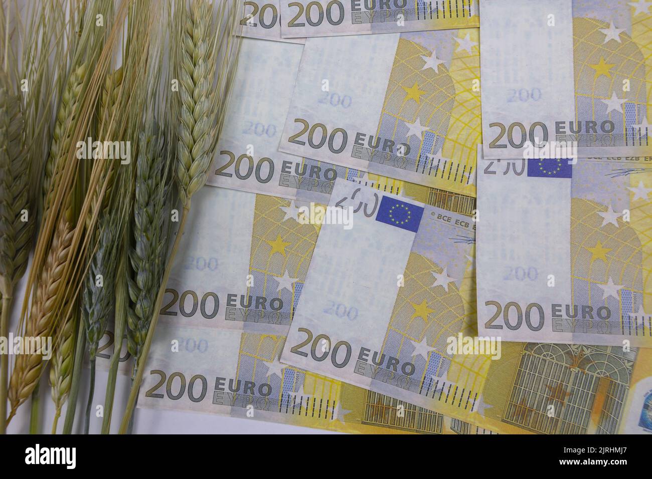 Food inflation in European Union concept. Wheats and Euros. Increasing ...