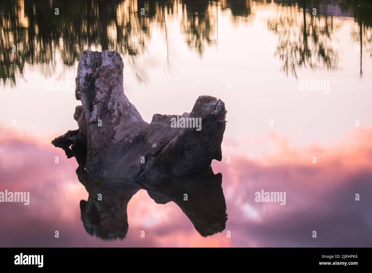 A piece of wood amid a calm lake with the beautiful cloudy sunset sky ...