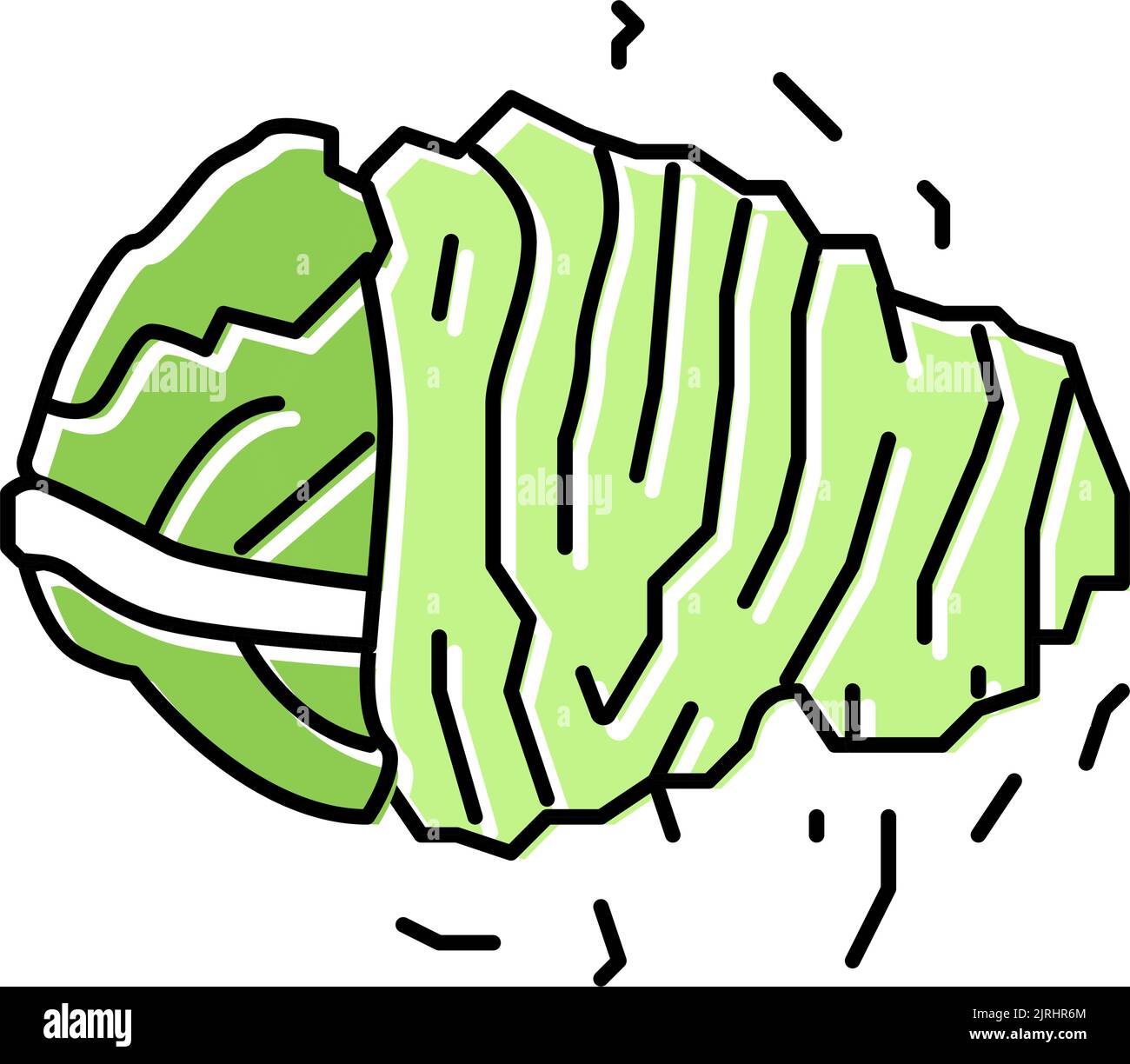chopped cabbage color icon vector illustration Stock Vector Image & Art ...
