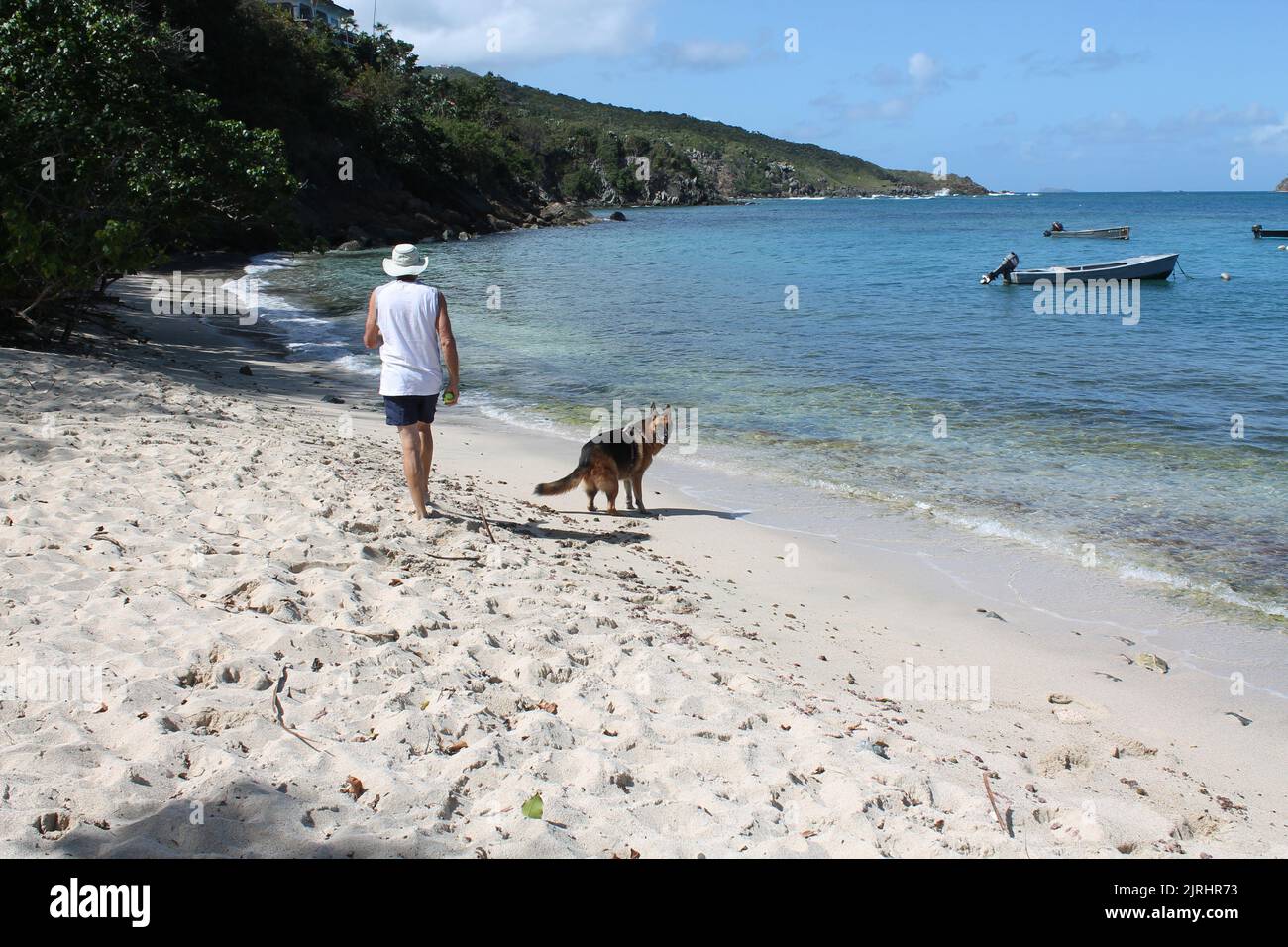 Playing Fetch with German Shepherd on a beach Stock Photo - Alamy
