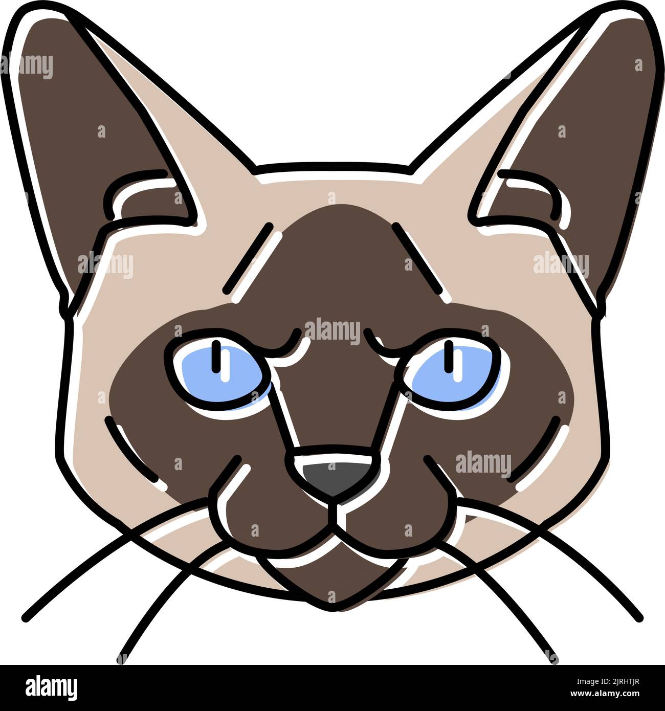 siamese cat cute pet color icon vector illustration Stock Vector Image ...