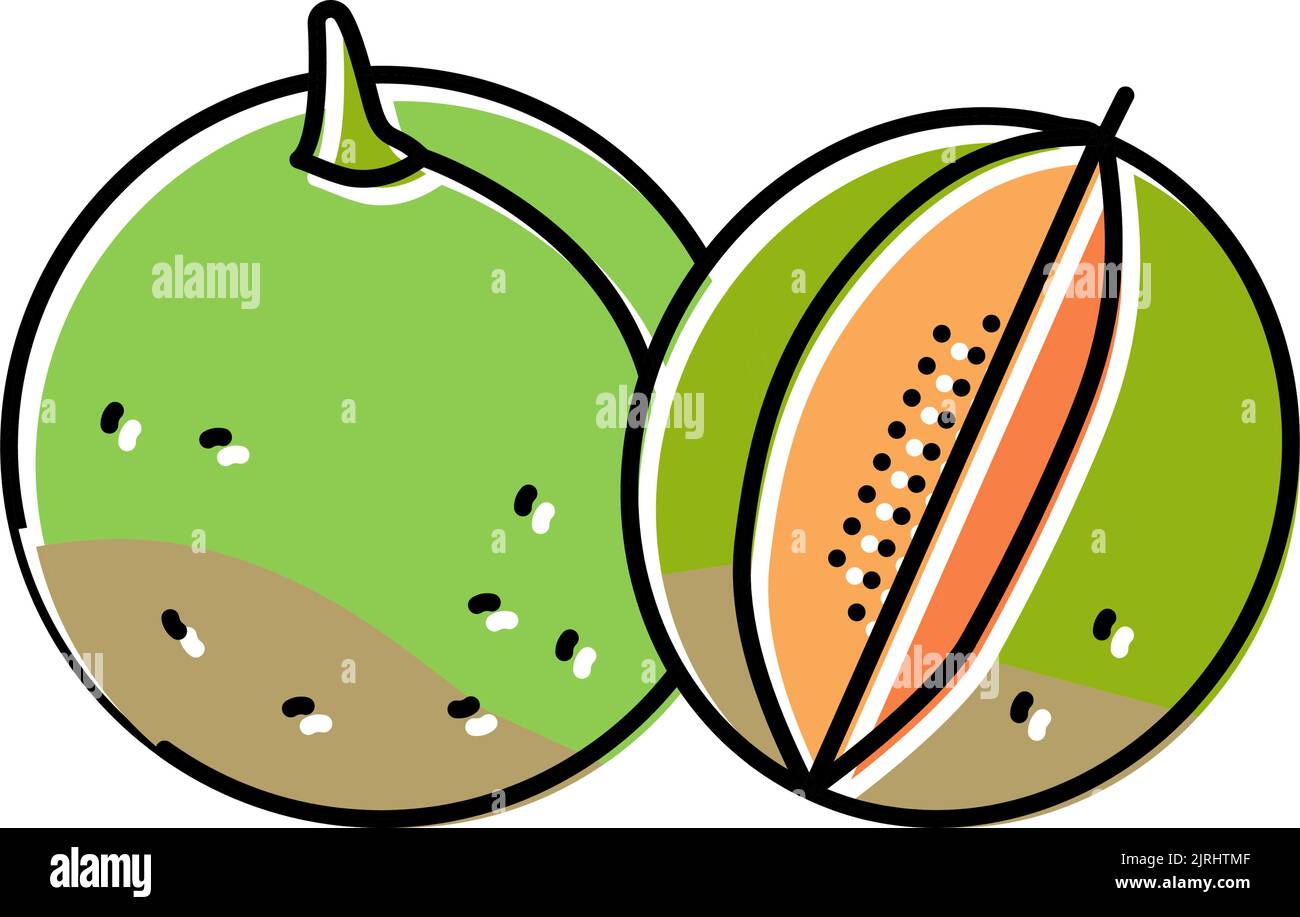 cut green melon cantaloupe color icon vector illustration Stock Vector ...