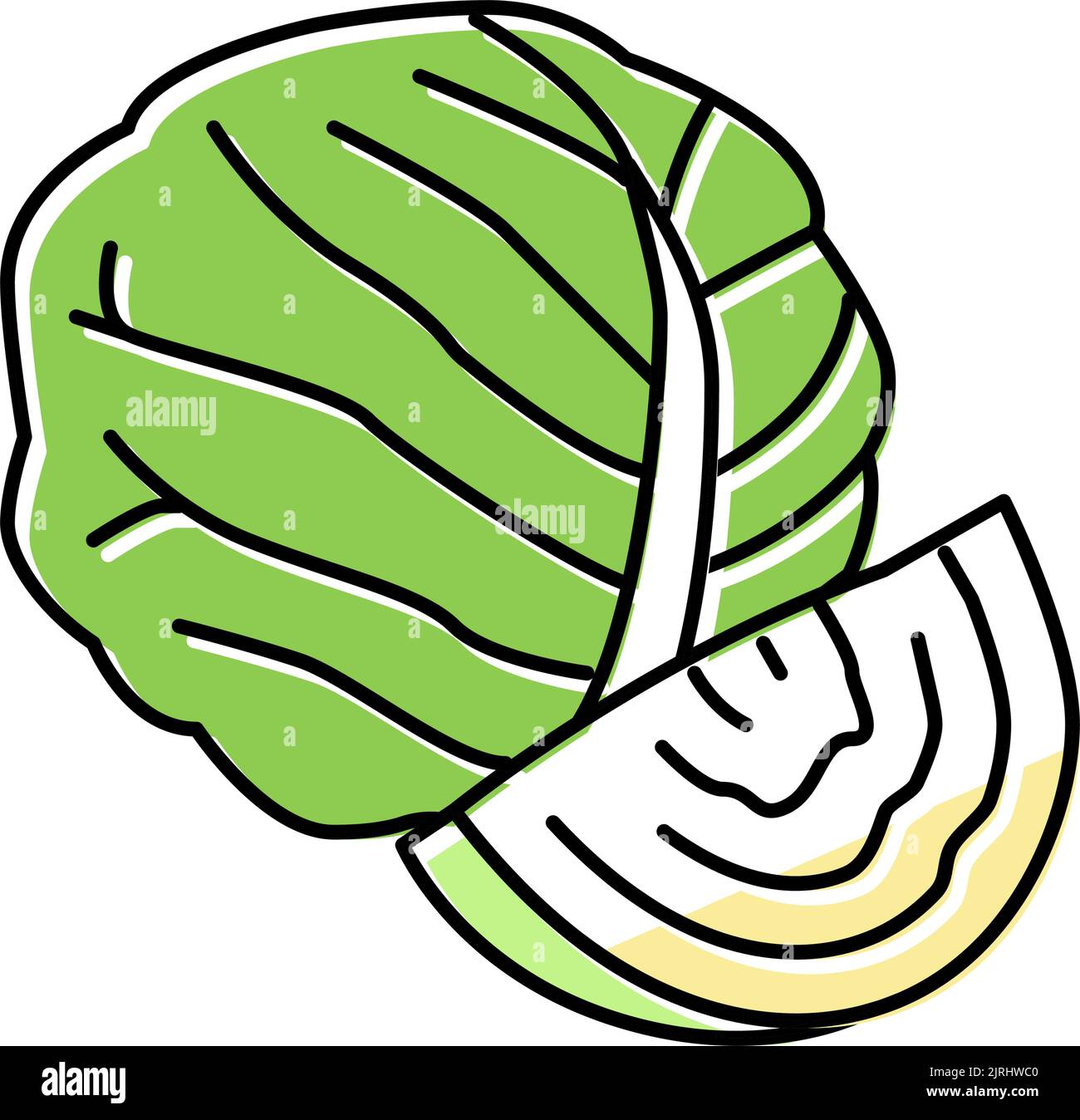 cabbage healthy vegetable color icon vector illustration Stock Vector ...