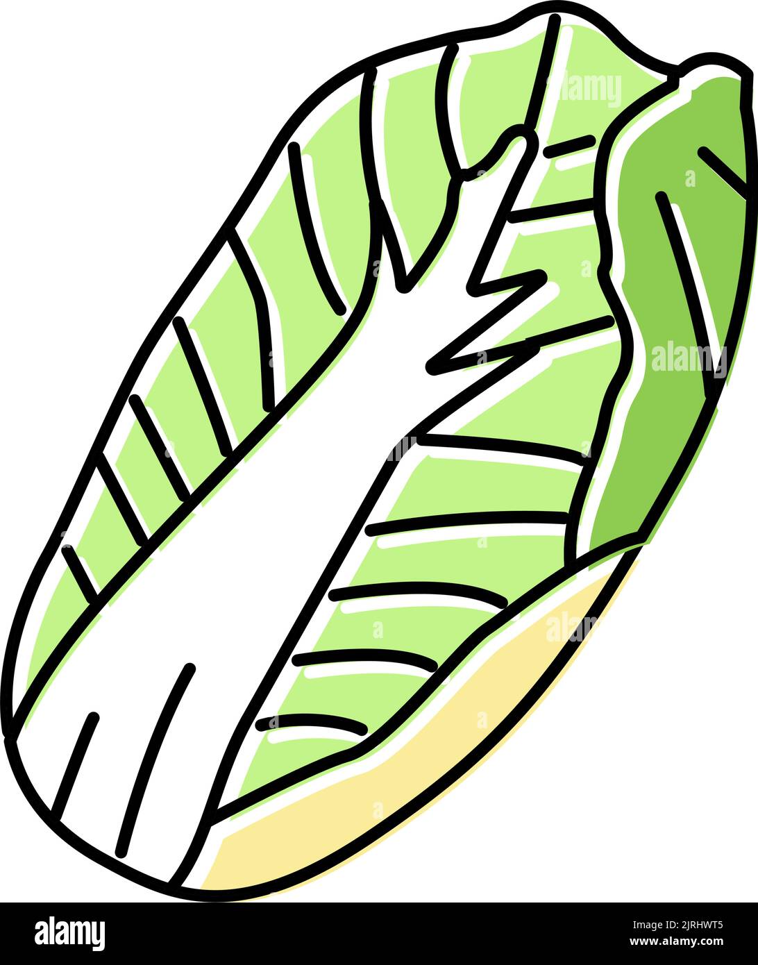 chinese cabbage color icon vector illustration Stock Vector Image & Art ...