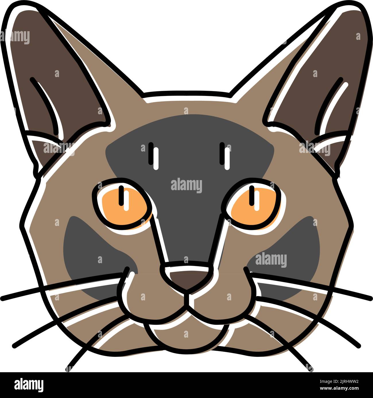 burmese cat cute pet color icon vector illustration Stock Vector Image ...