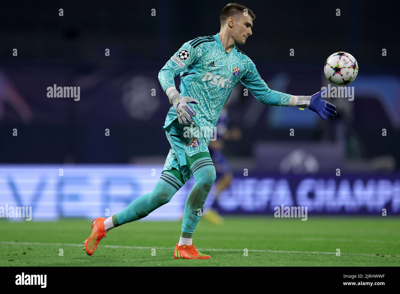 Goalkeeper Dominik Livakovic of Dinamo in action during UEFA Champions ...