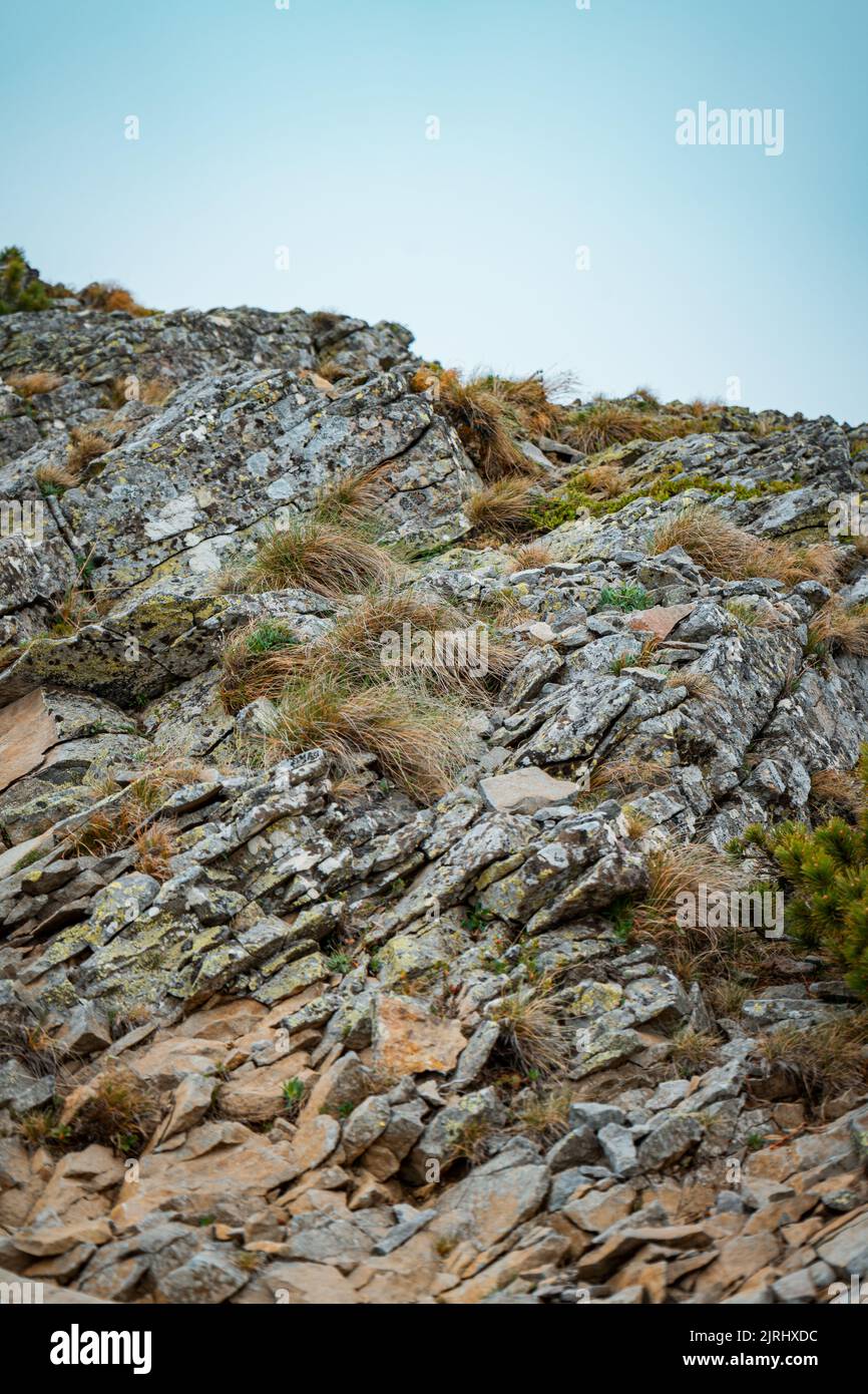 A vertical shot of broken stones on the ground Stock Photo - Alamy