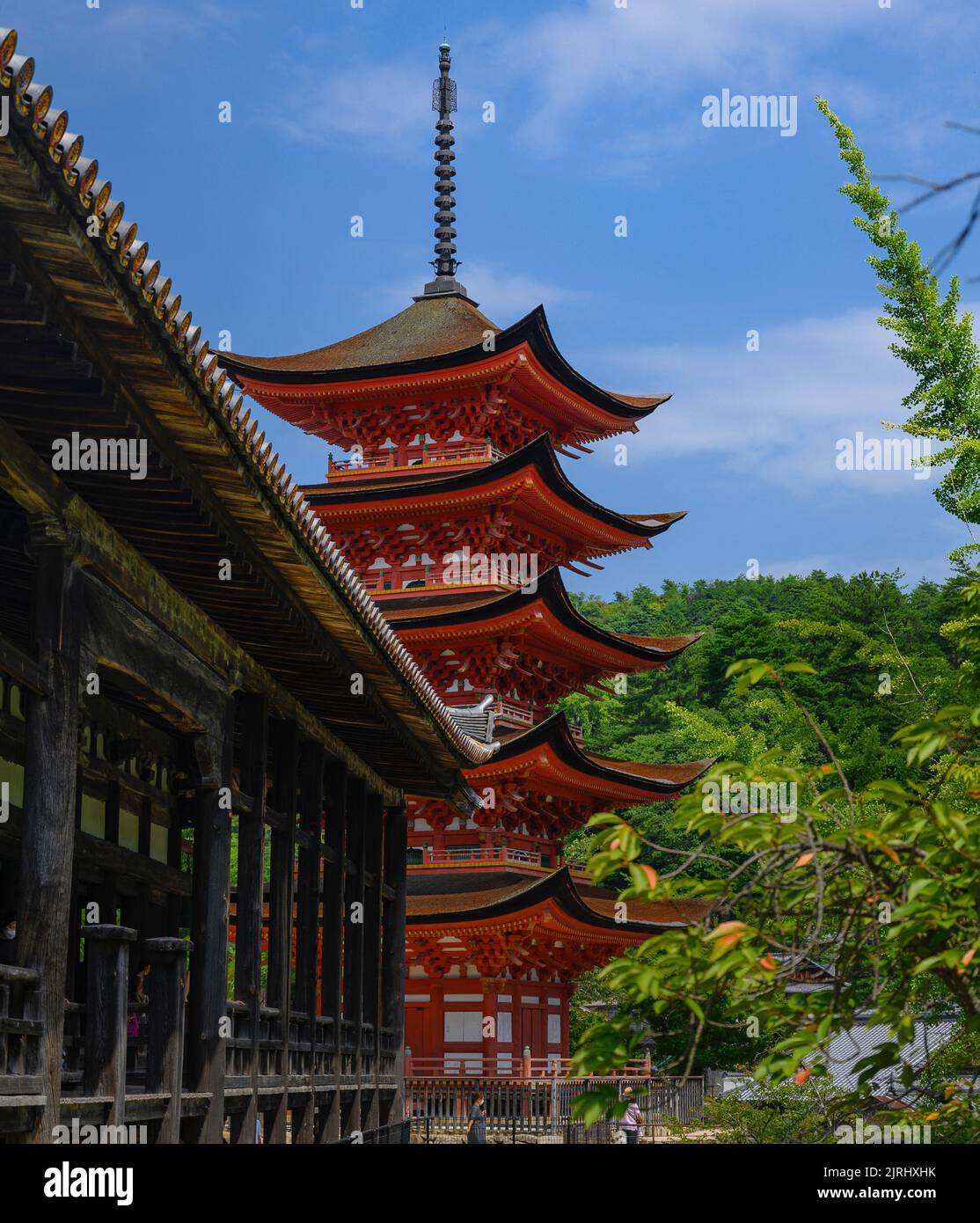A vertical shot of a traditional temple in Kyoto, Japan Stock Photo - Alamy