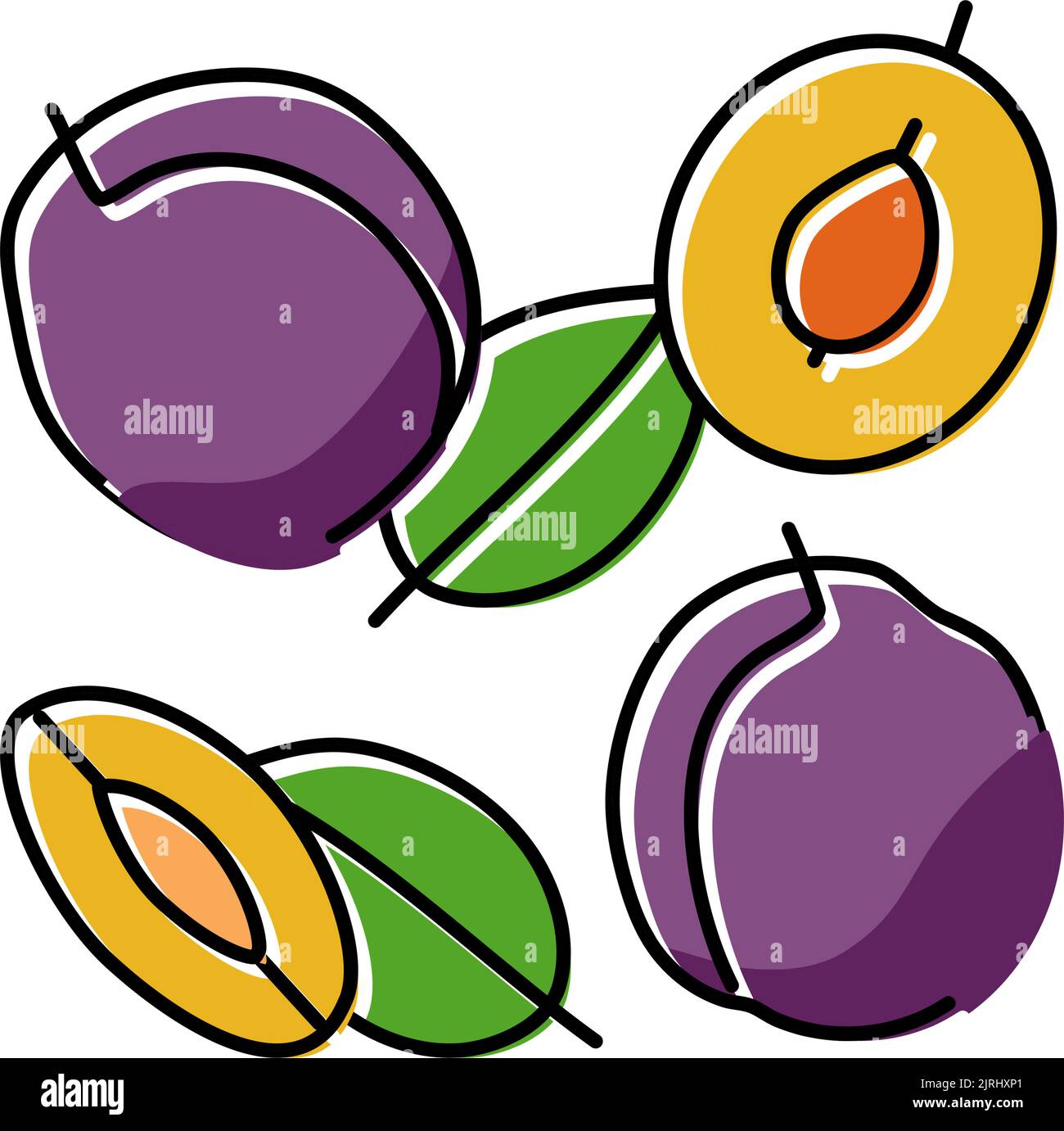 Greengage illustration Cut Out Stock Images & Pictures - Alamy