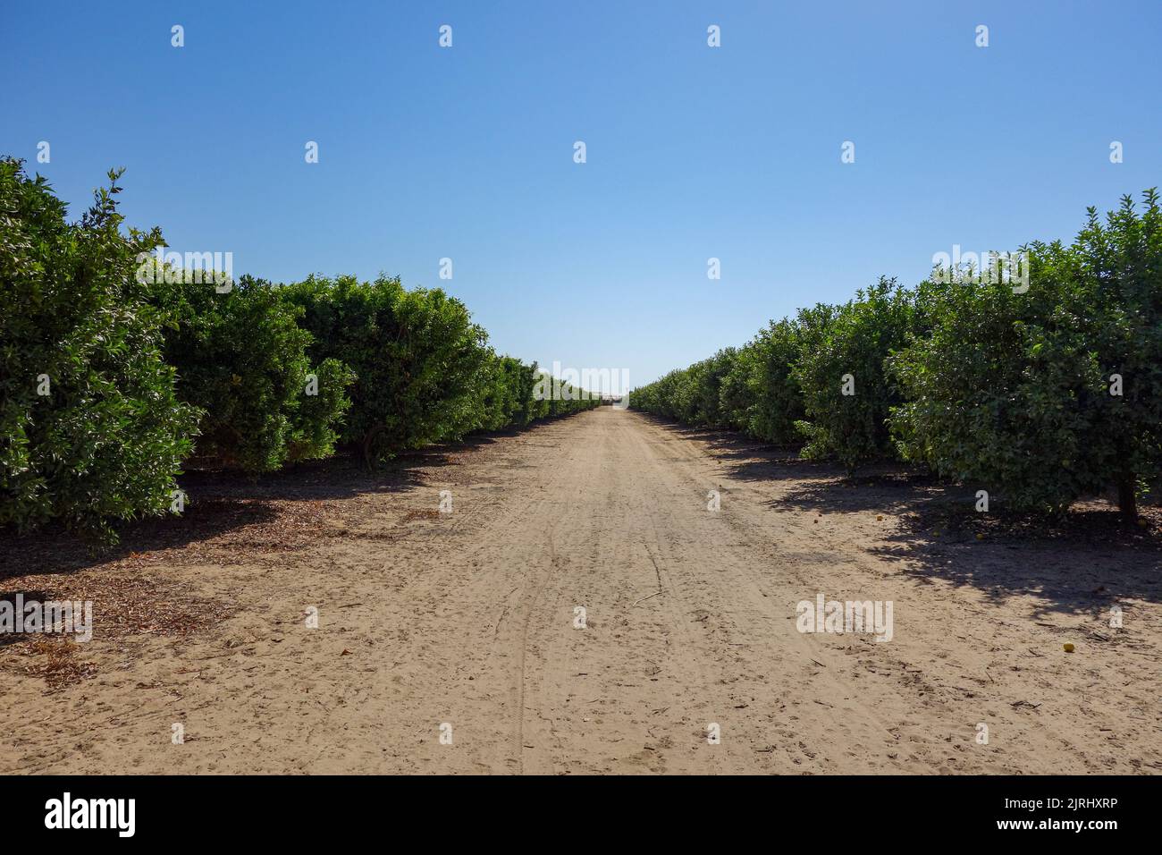 Tree shadow on pathway hi-res stock photography and images - Alamy