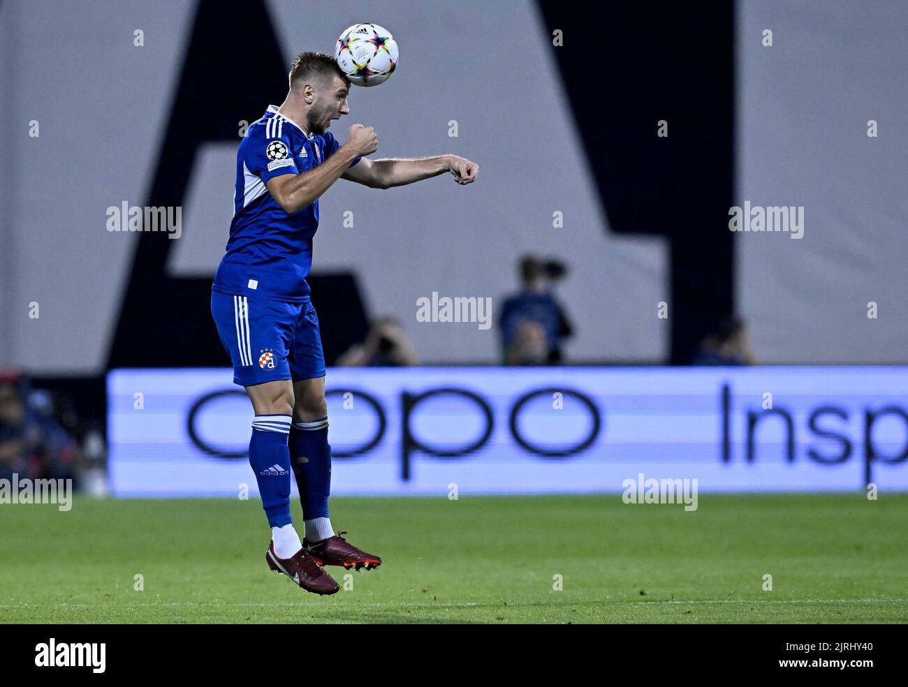 Stefan Ristovski of Dinamo gets up for a header during UEFA Champions ...