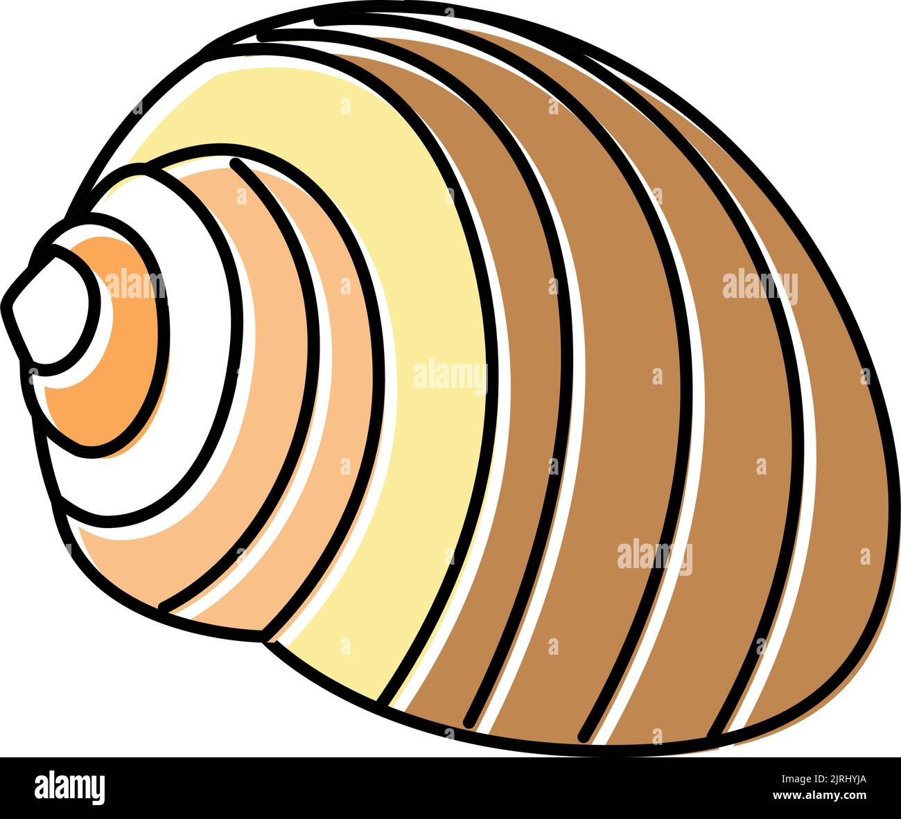 tonna sea shell beach color icon vector illustration Stock Vector Image ...