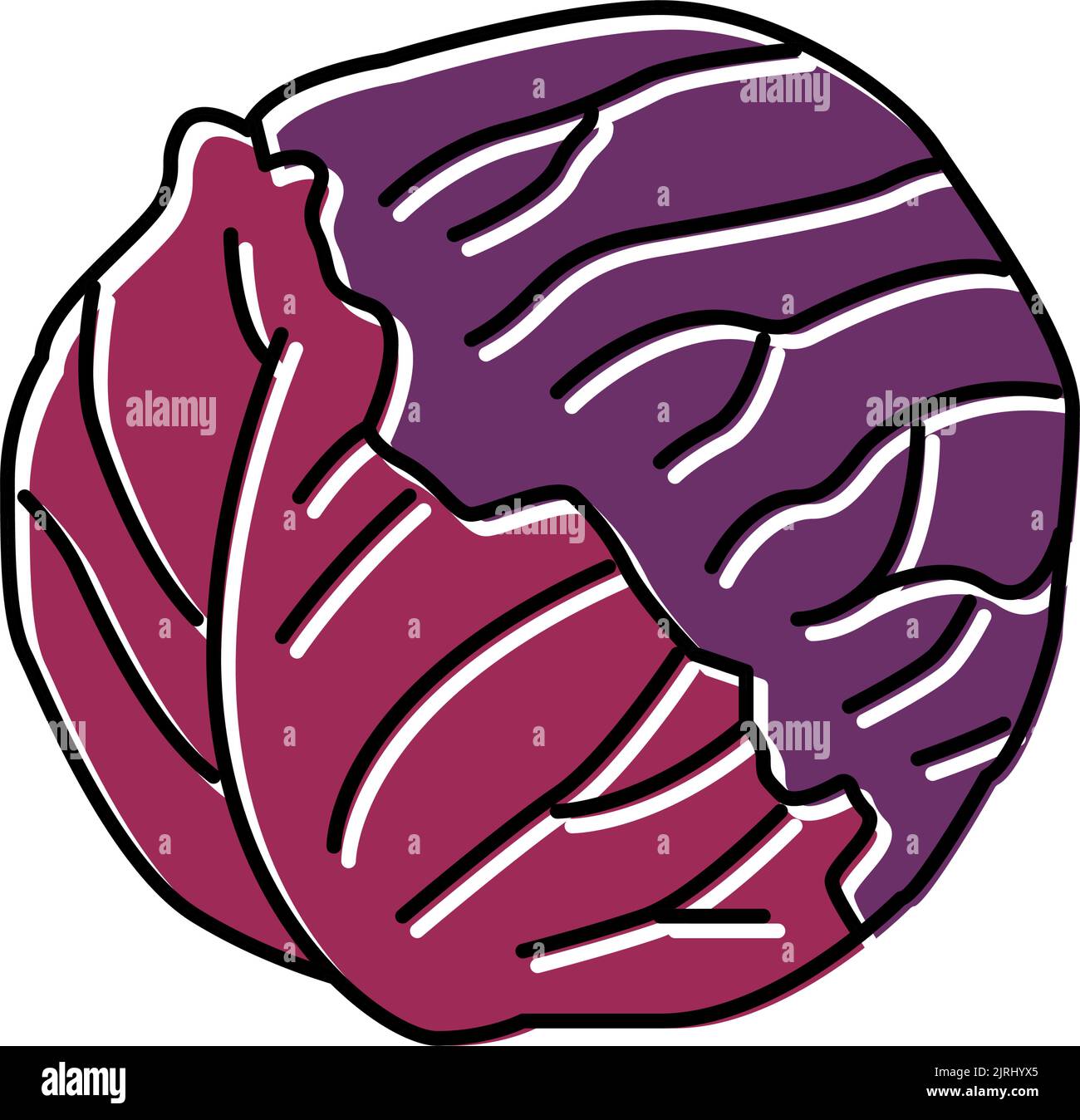 red cabbage color icon vector illustration Stock Vector Image & Art - Alamy